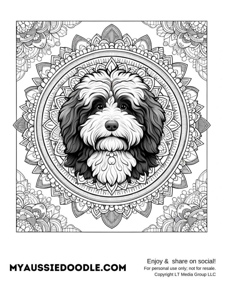 Free Printable Aussiedoodle Coloring Pages