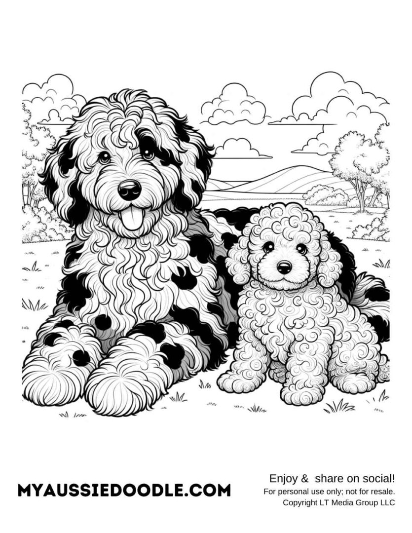 Free Printable Aussiedoodle Coloring Pages