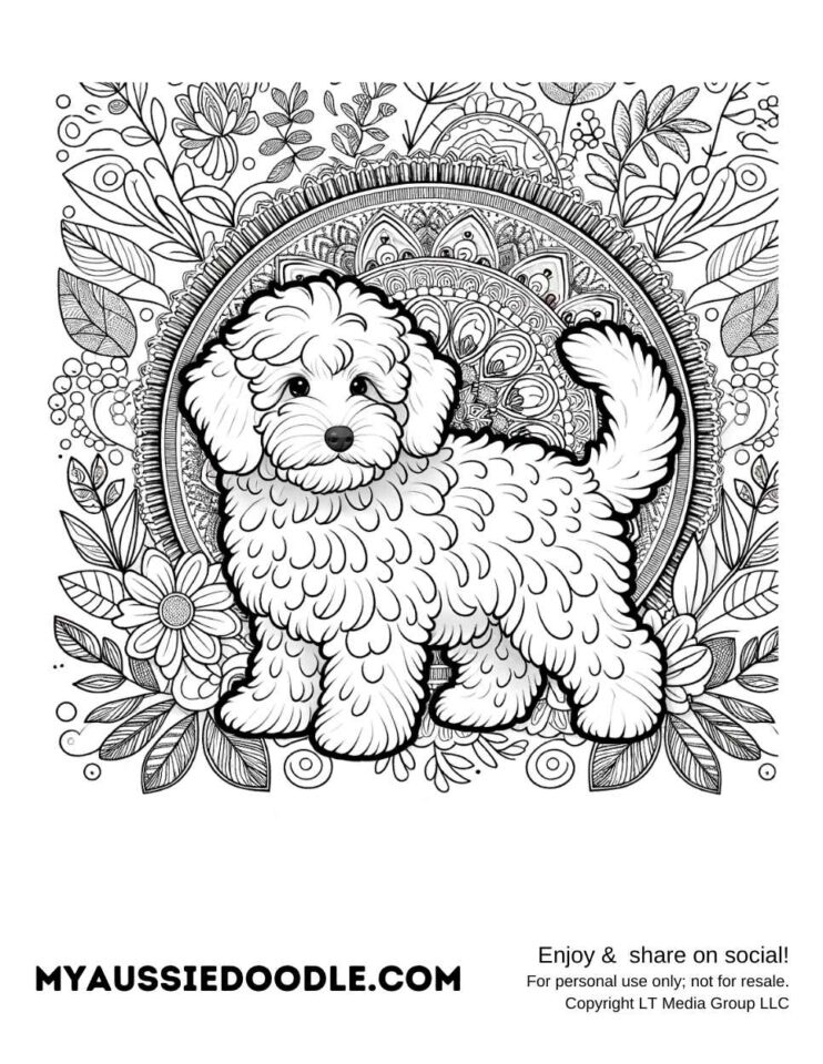 Free Printable Aussiedoodle Coloring Pages